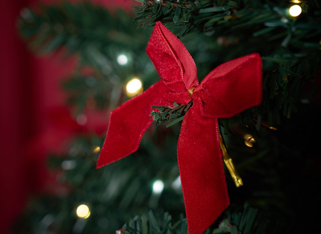 The ultimate Curvy Kate Stocking filler guide – Curvy Kate UK